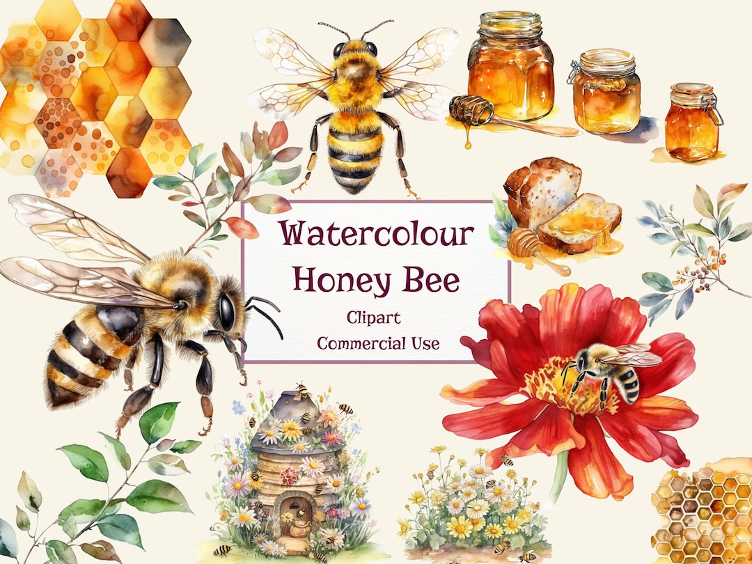 Watercolour Honey Bee Clipart | Spring Garden Honey Bee Bundle | Honey ...