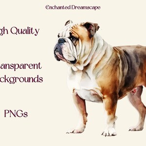 Watercolour Farm Animals Clipart PNG Farm Animals Clipart - Etsy