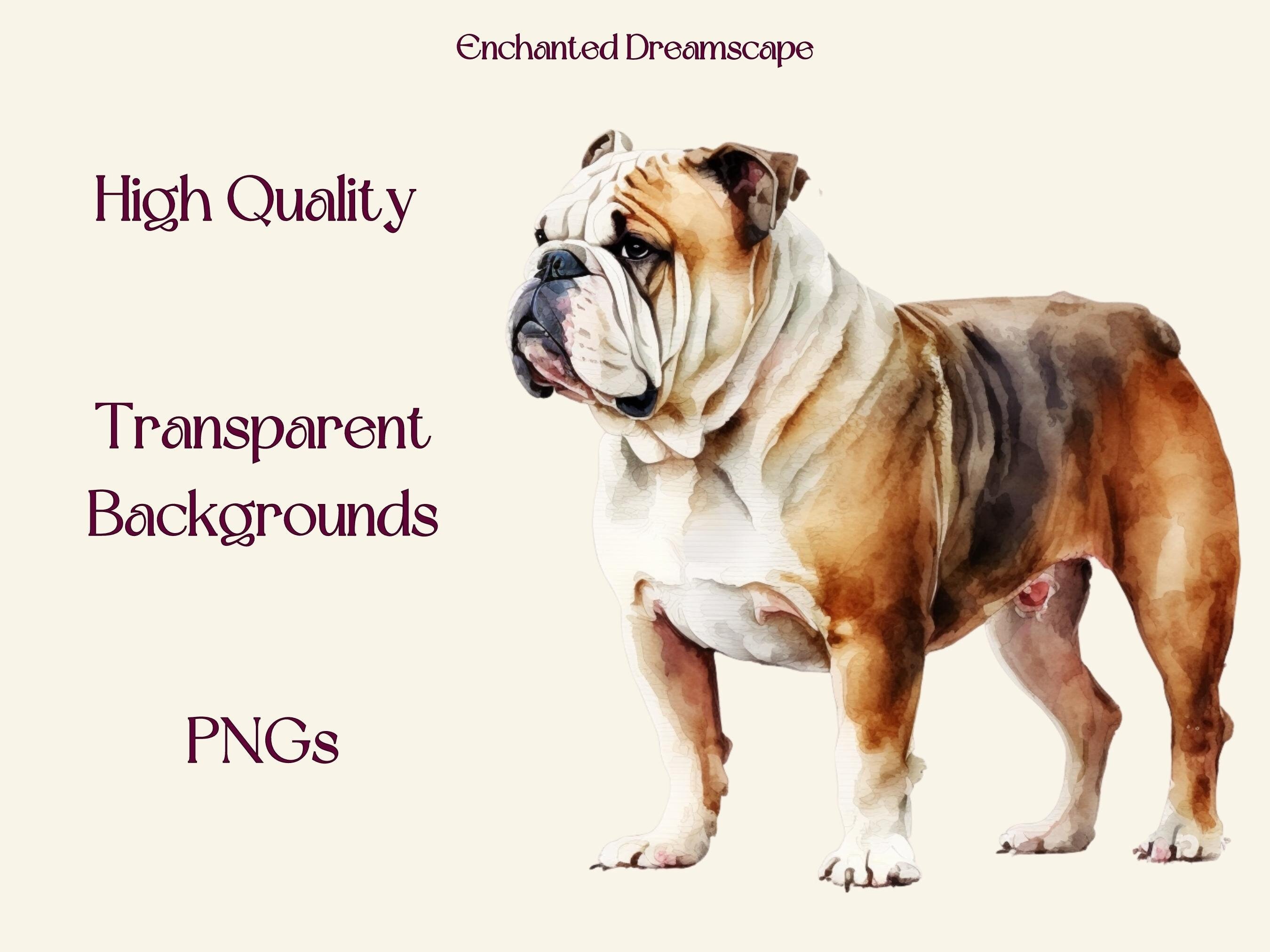 Watercolour Farm Animals Clipart PNG Farm Animals Clipart - Etsy