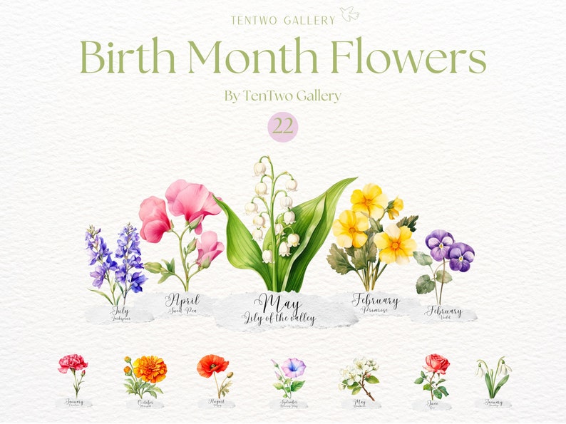 Birth Month Flowers Clipart, Watercolor Birth Flowers Sublimation ...