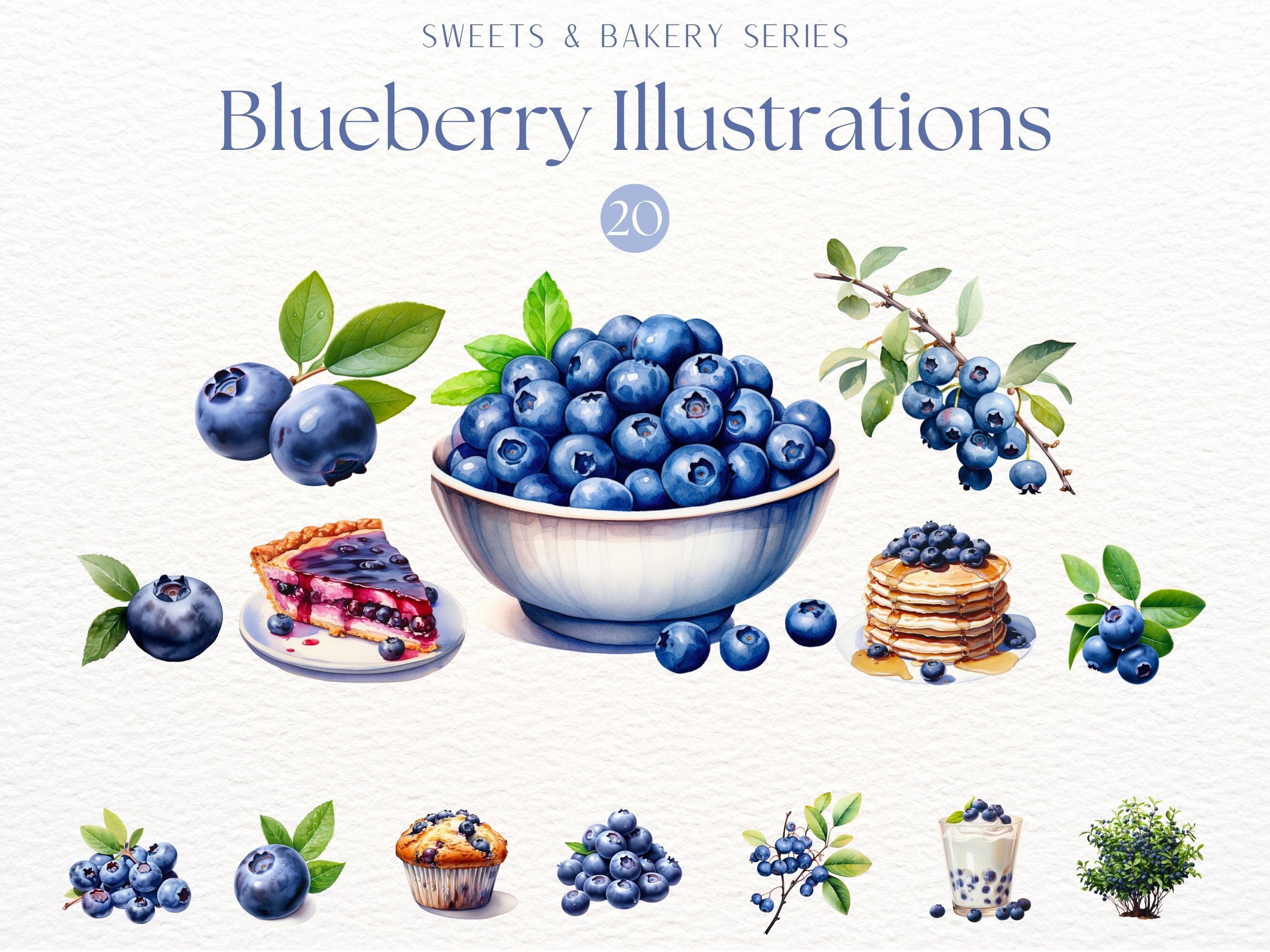 Blueberries Clipart, Blueberries Sublimation, Blueberry PNG, Blueberry ...