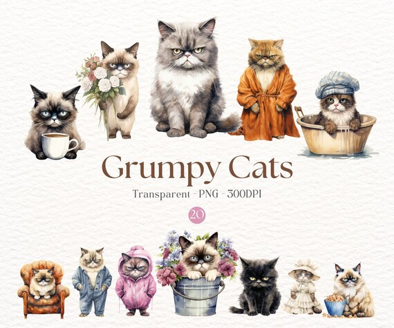 Grumpy Cat Transparent Background