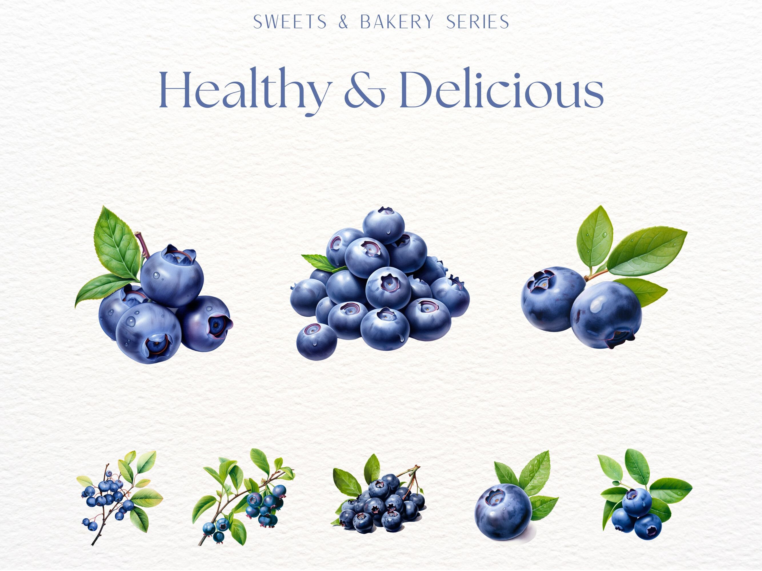 Blueberries Clipart, Blueberries Sublimation, Blueberry PNG, Blueberry ...