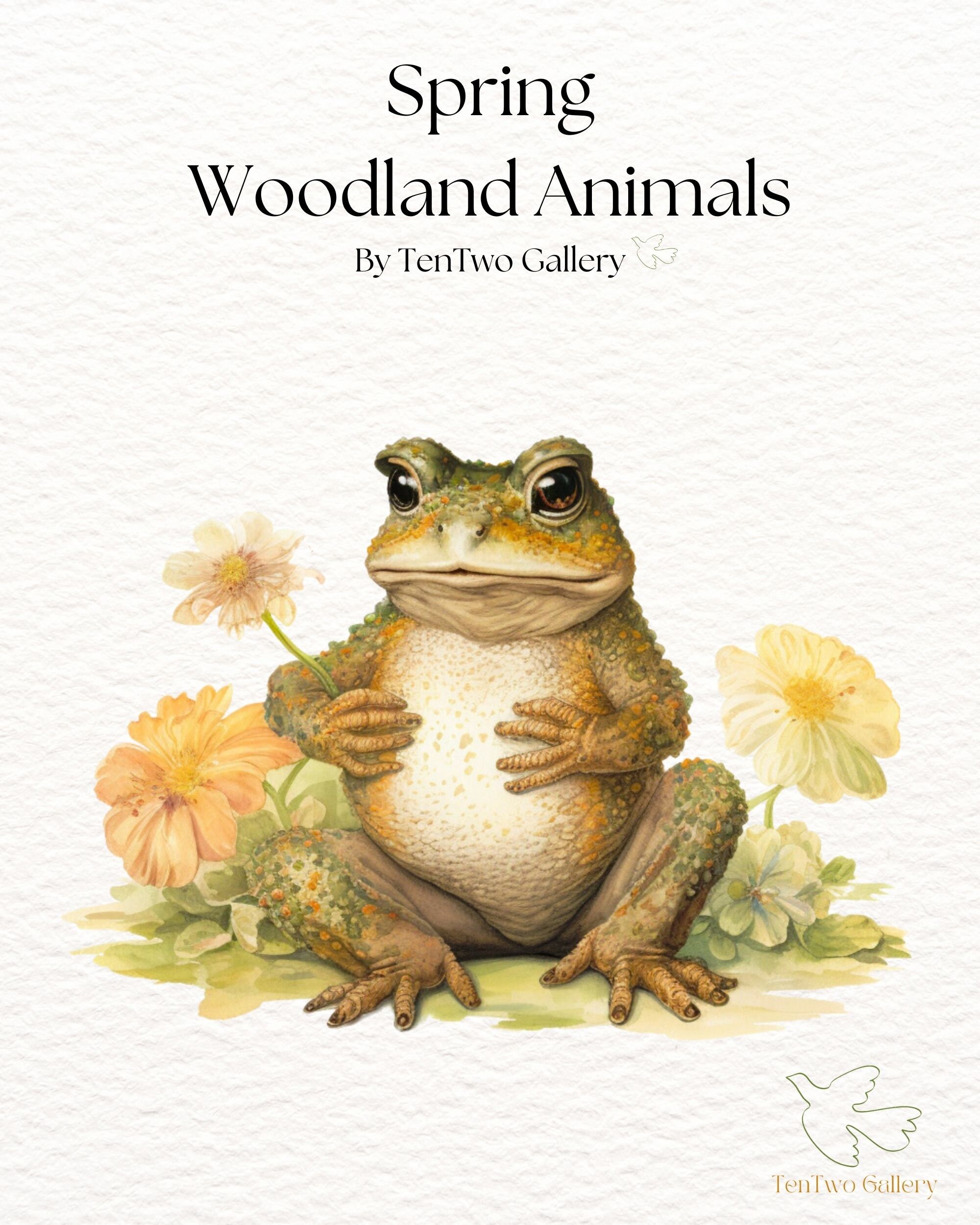 Spring Woodland Animals Clipart Watercolor Clipart Spring Sublimation ...