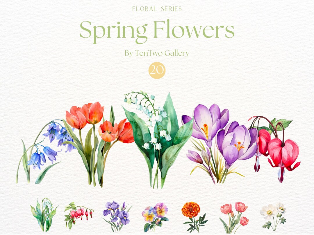 Watercolor Spring Flowers Clipart, Springtime Floral Graphics, Spring ...