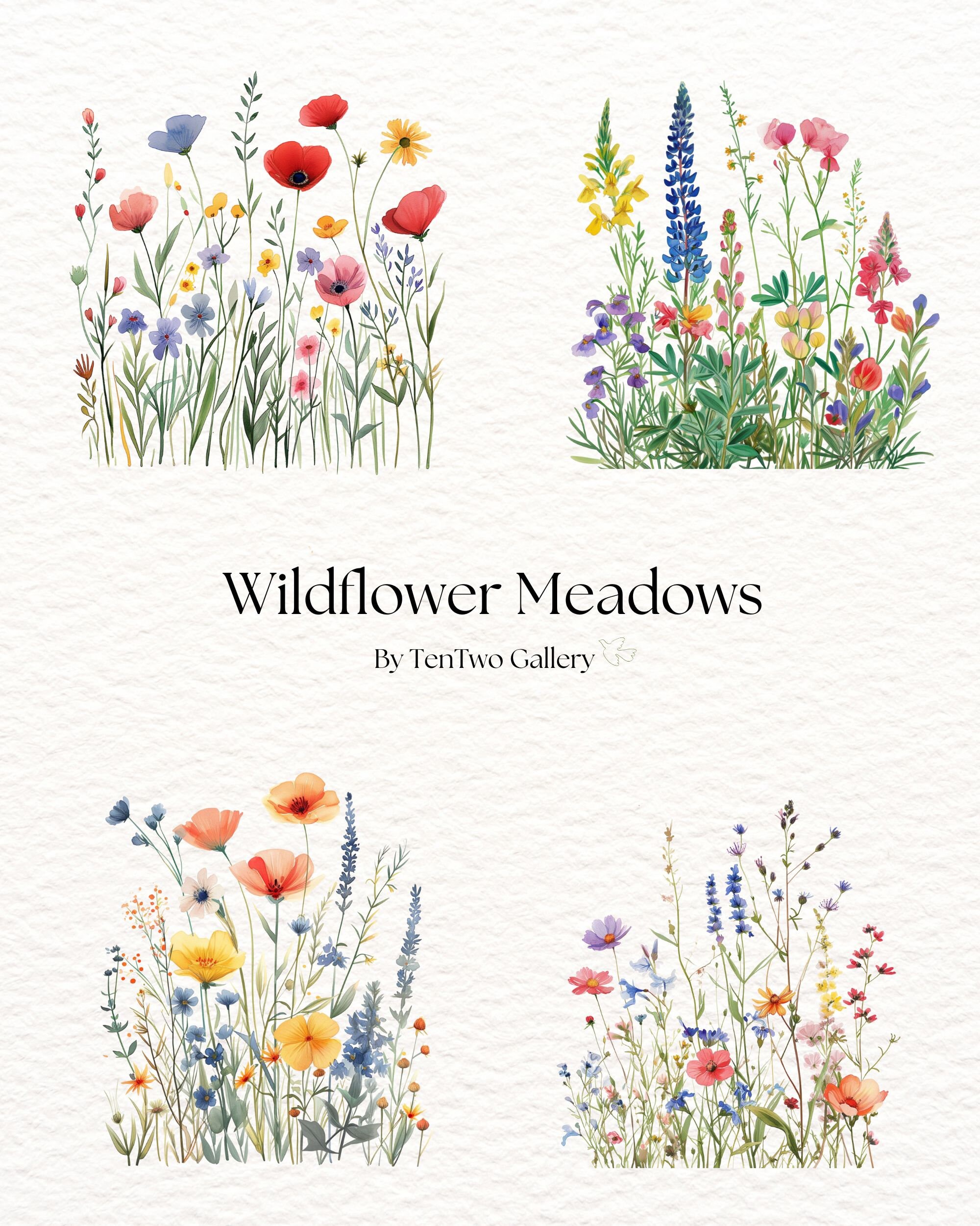 Watercolor Floral Clipart Wildflower Borders Clipart Floral Border Set ...