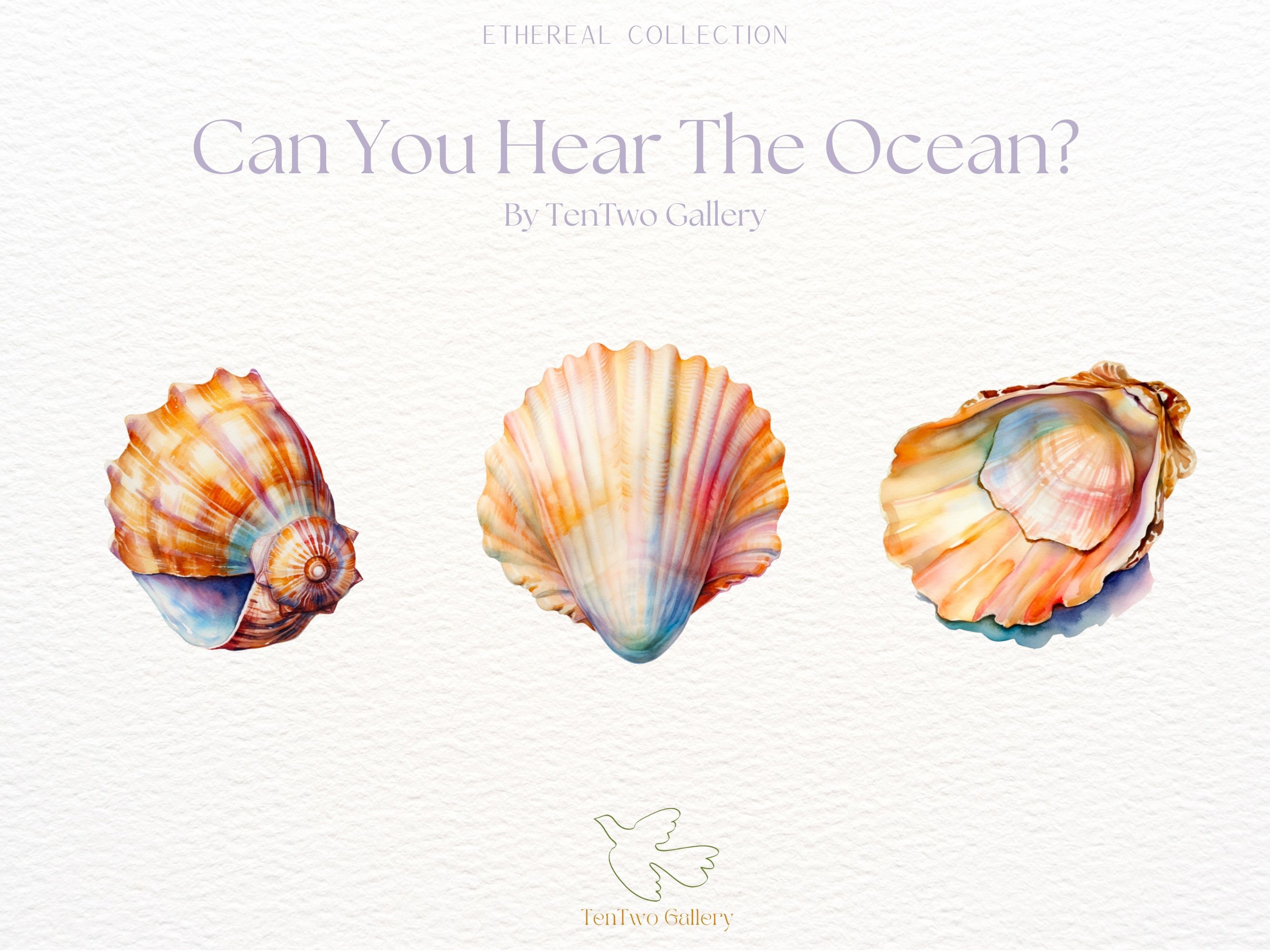 Watercolour Seashells Clipart, Beach Clipart, Seashell PNG, Beach ...