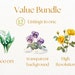 Floral Value Clipart Bundle, Watercolor Floral PNG Graphics, Spring ...