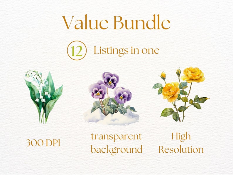 Floral Value Clipart Bundle, Watercolor Floral PNG Graphics, Spring ...