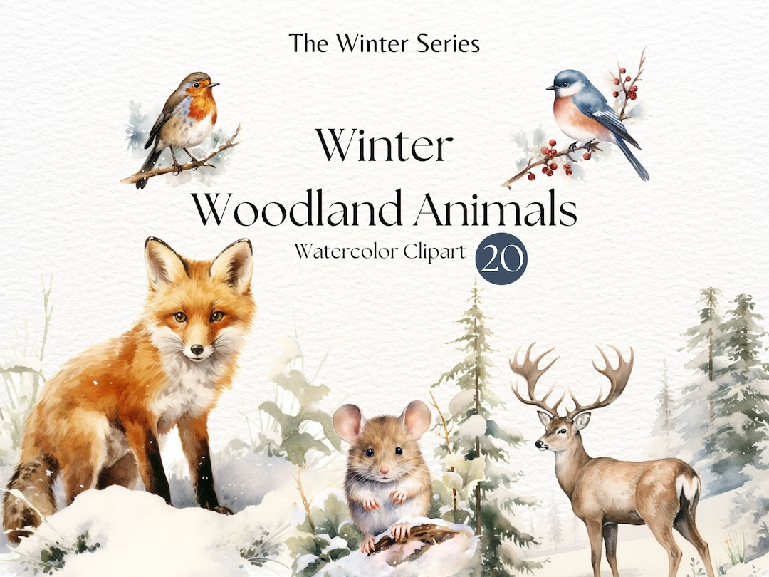 Winter Woodland Animals Clipart Bundle | Watercolor Clipart | Winter ...