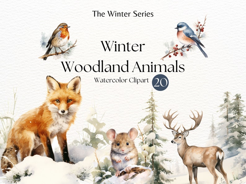 Winter Woodland Animals Clipart Bundle Watercolor Clipart Winter ...