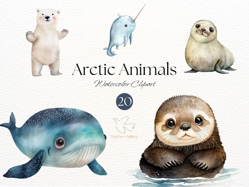 Watercolour Arctic Animals Clipart | Cute Arctic Animals PNG | Polar ...