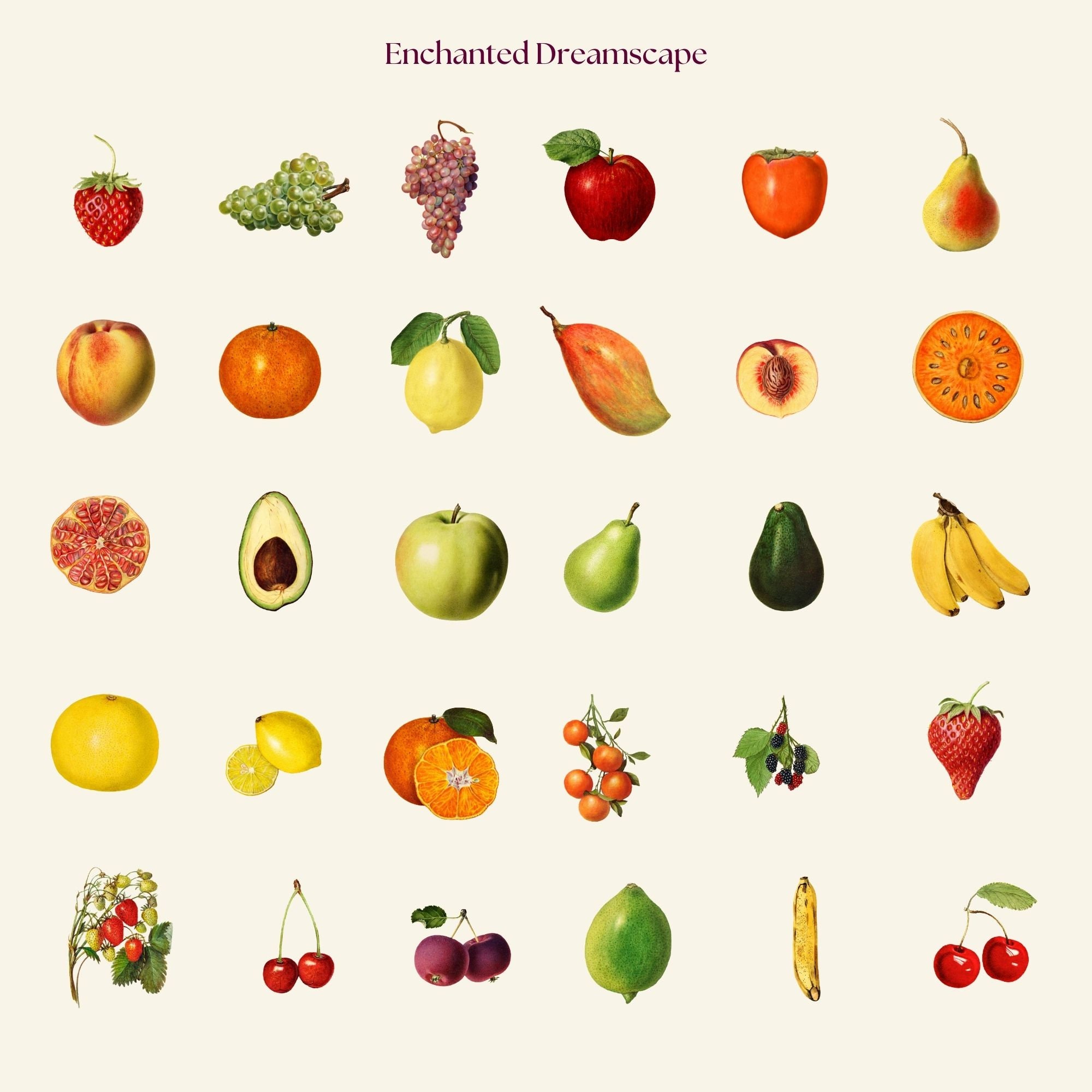 Vintage Fruit Illustrations Clipart Vintage Fruit PNG Full - Etsy