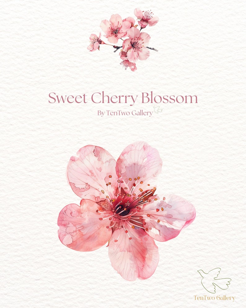Watercolor Cherry Blossom Trees Clipart, Japanese Cherry Trees, Cherry ...
