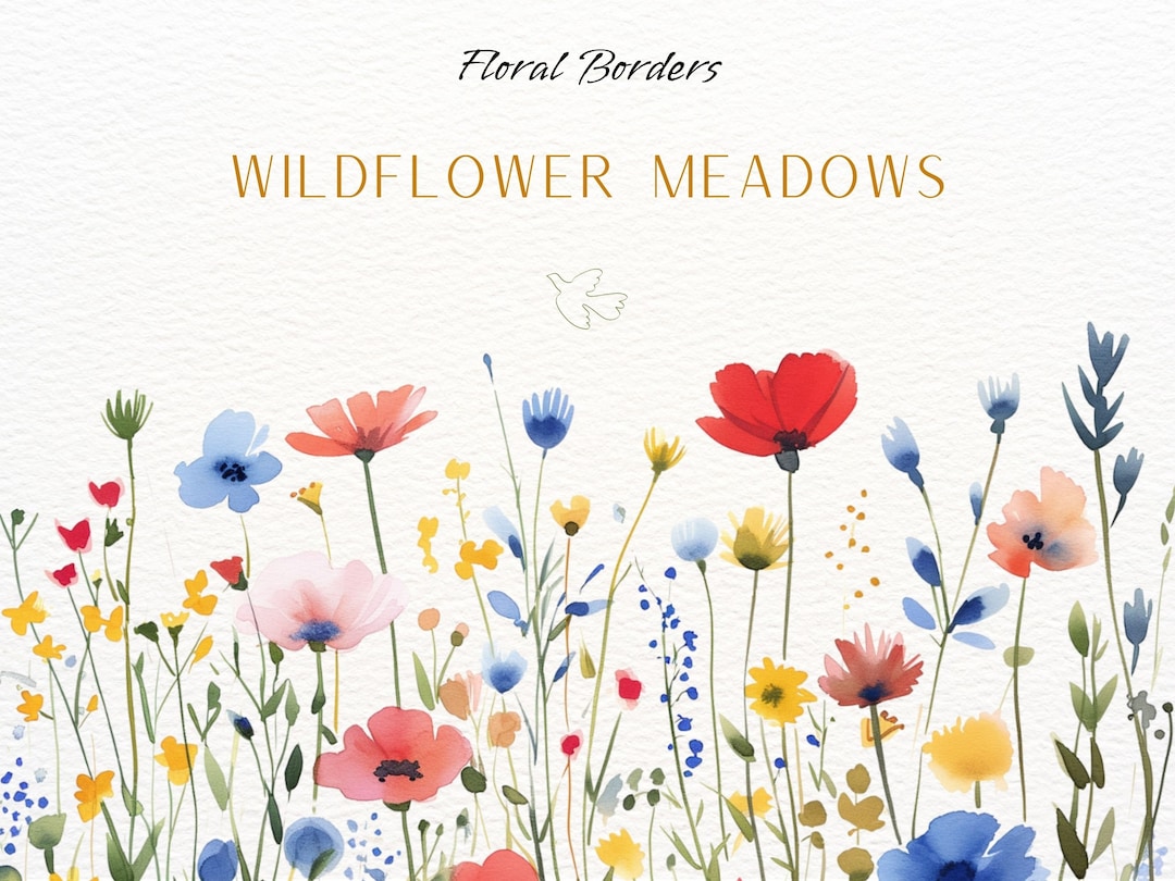 Watercolor Floral Clipart | Wildflower Borders Clipart | Floral Border ...