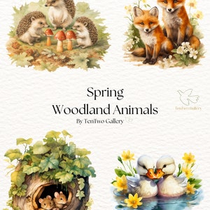 Spring Woodland Animals Clipart | Watercolor Clipart | Spring ...