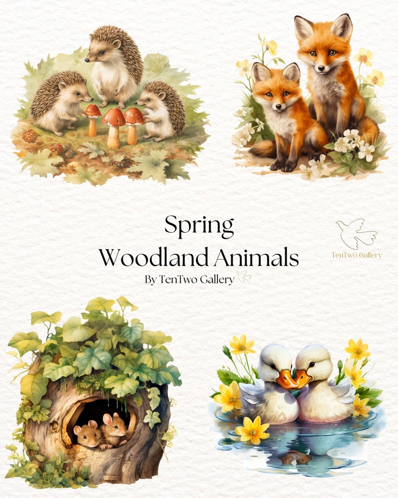 Spring Woodland Animals Clipart Watercolor Clipart Spring Sublimation ...