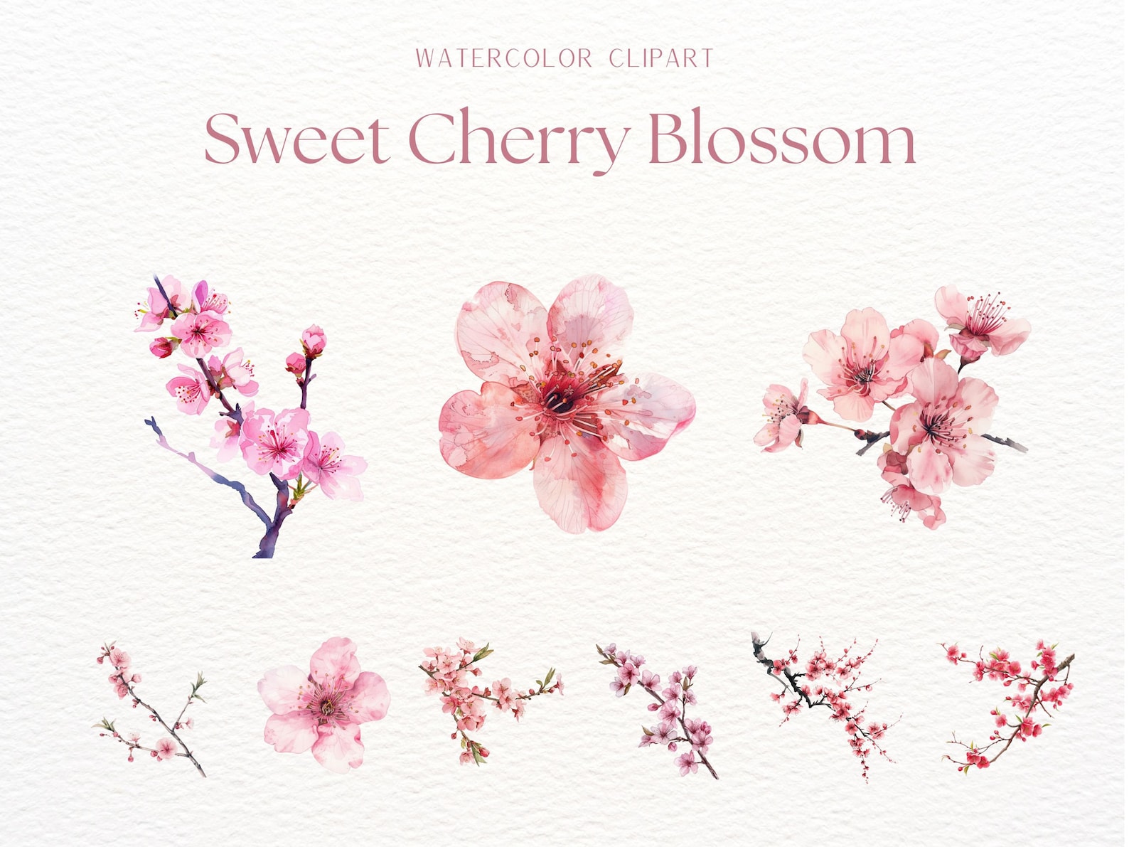 Watercolor Cherry Blossom Trees Clipart, Japanese Cherry Trees, Cherry ...