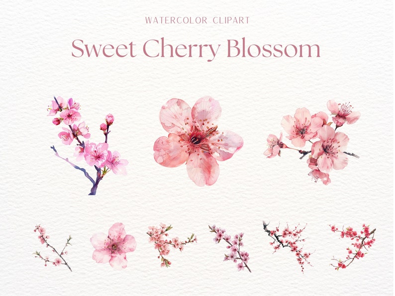 Watercolor Cherry Blossom Trees Clipart, Japanese Cherry Trees, Cherry ...