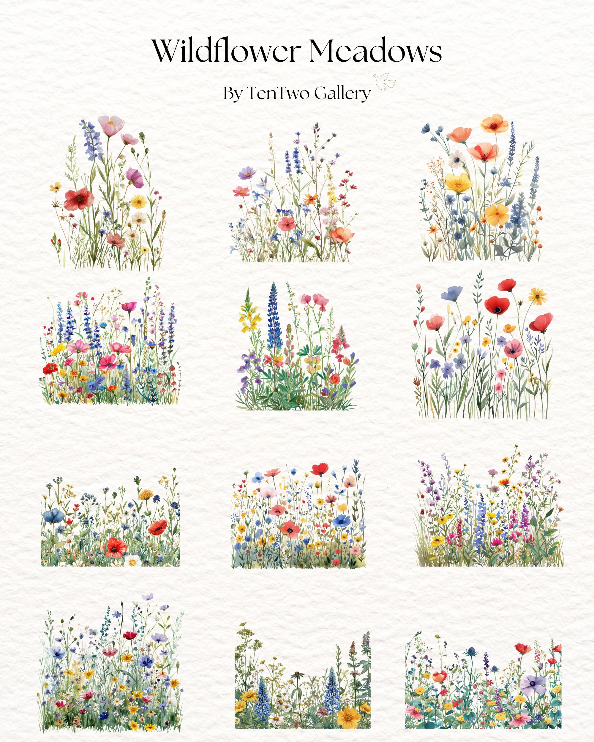 Watercolor Floral Clipart Wildflower Borders Clipart Floral Border Set ...