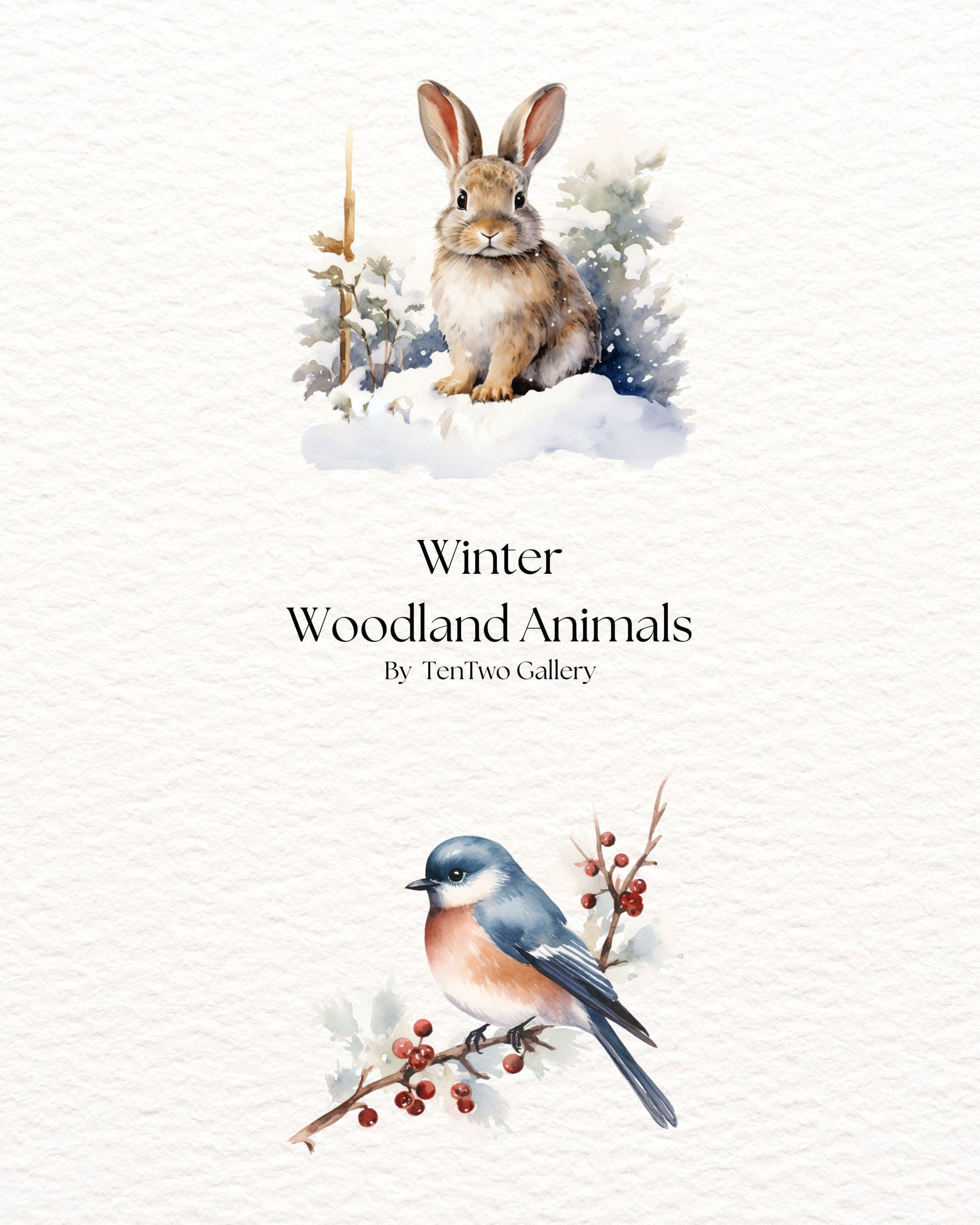 Winter Woodland Animals Clipart Bundle Watercolor Clipart Winter ...