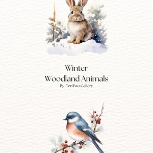Winter Woodland Animals Clipart Bundle | Watercolor Clipart | Winter ...