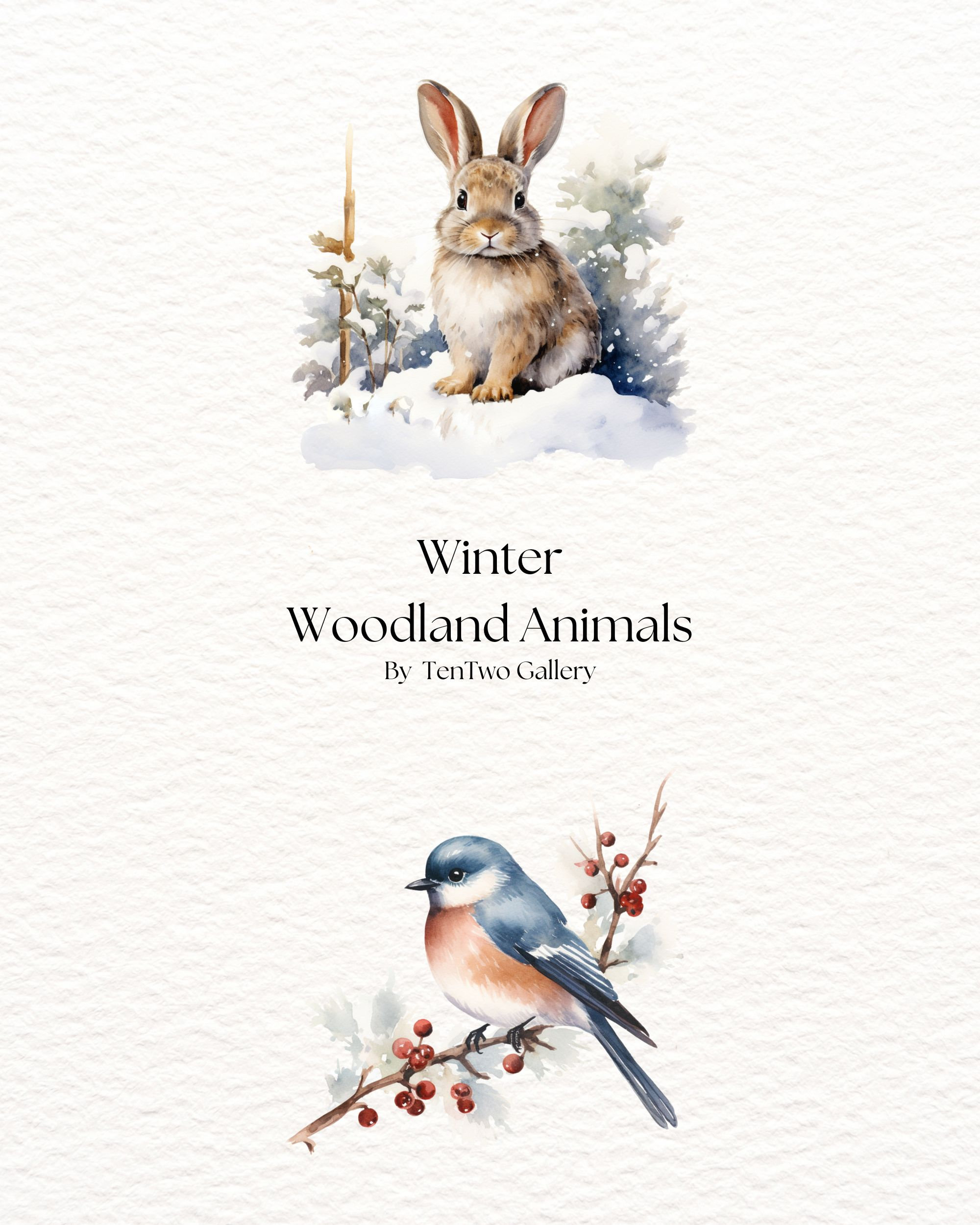 Winter Woodland Animals Clipart Bundle Watercolor Clipart Winter ...