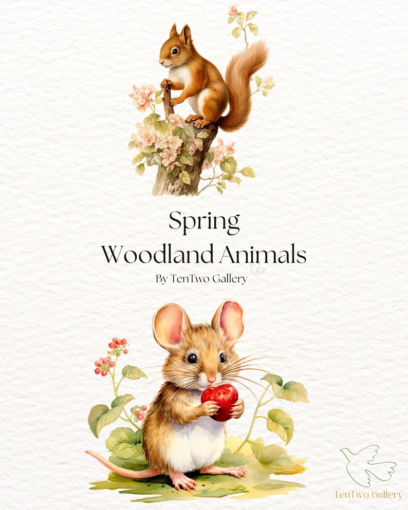 Spring Woodland Animals Clipart | Watercolor Clipart | Spring ...