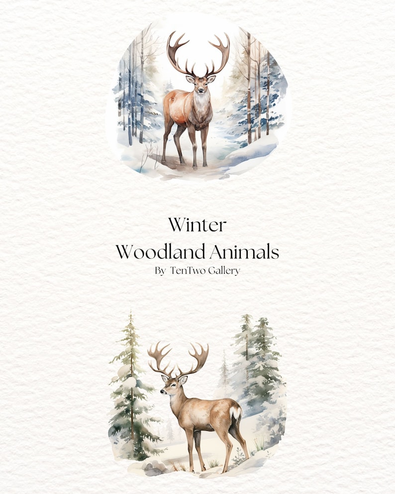 Winter Woodland Animals Clipart Bundle Watercolor Clipart Winter ...