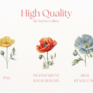 Watercolour Poppy Flowers Clipart, Floral Bouquets, Poppy Wreaths ...