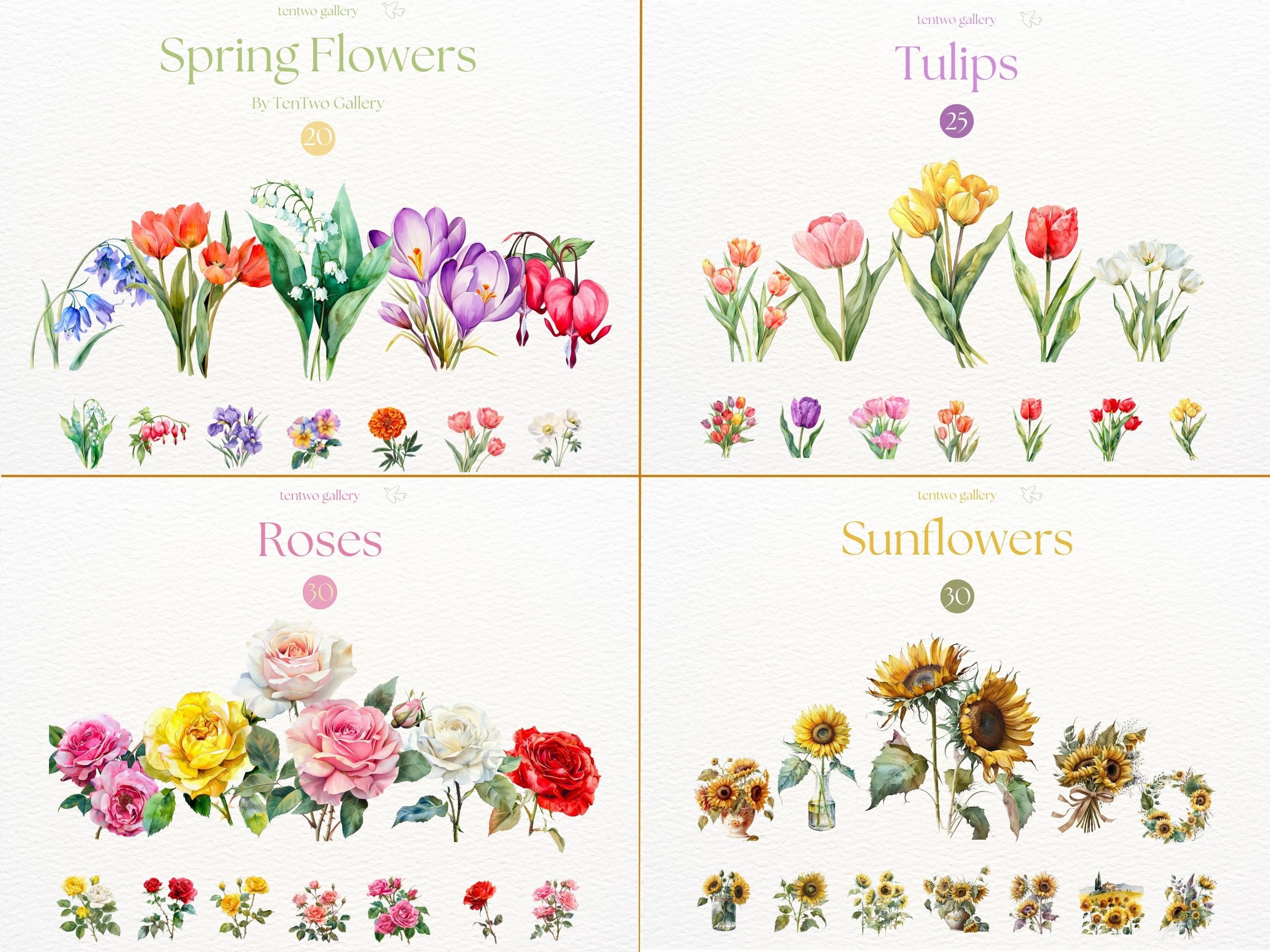 Floral Value Clipart Bundle, Watercolor Floral PNG Graphics, Spring ...
