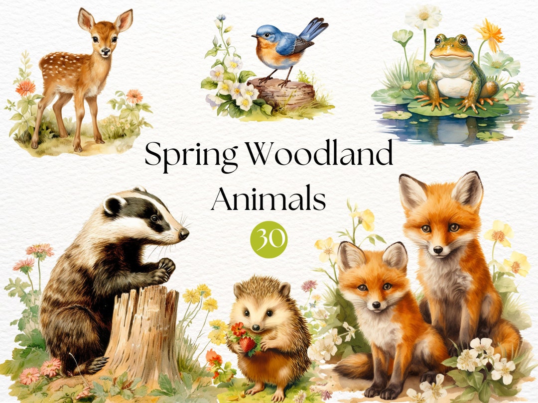 Spring Woodland Animals Clipart | Watercolor Clipart | Spring ...