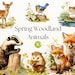 Spring Woodland Animals Clipart | Watercolor Clipart | Spring ...