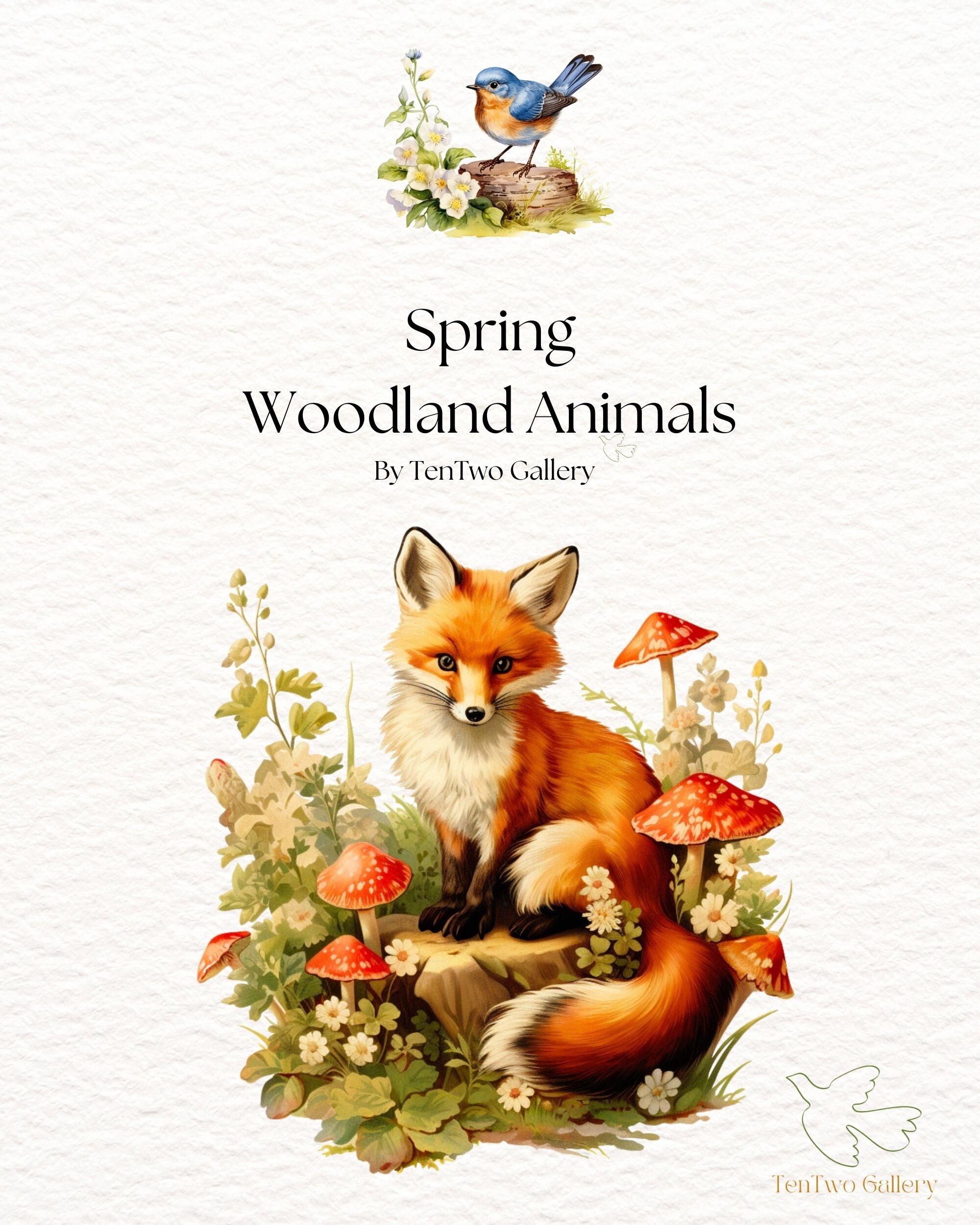 Spring Woodland Animals Clipart Watercolor Clipart Spring Sublimation ...