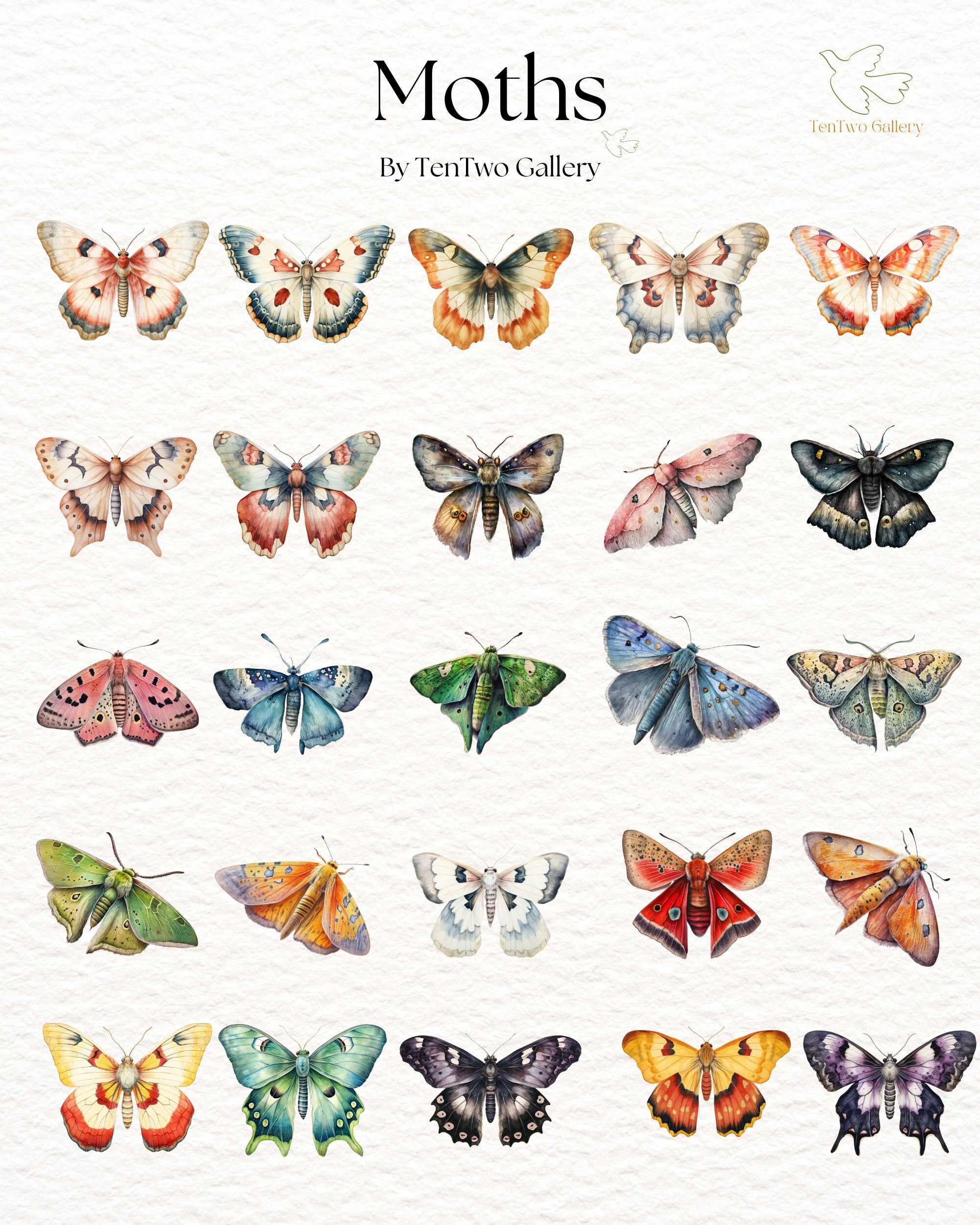 Moths Clipart Watercolour Clipart PNG Beautiful Moths Bundle Butterfly ...