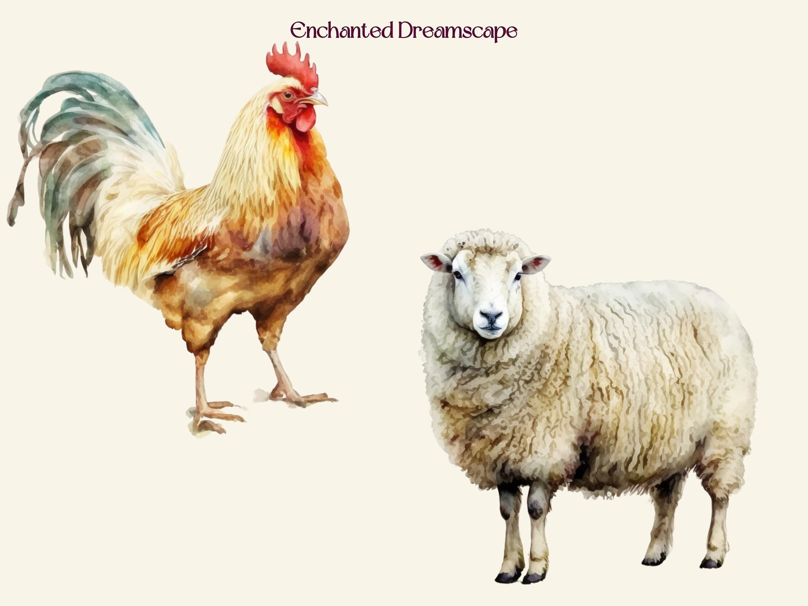 Watercolour Farm Animals Clipart PNG Farm Animals Clipart - Etsy