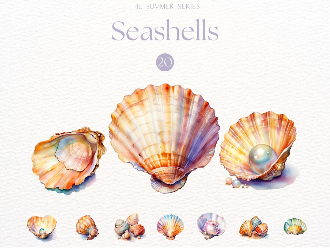 Watercolour Seashells Clipart, Beach Clipart, Seashell PNG, Beach ...