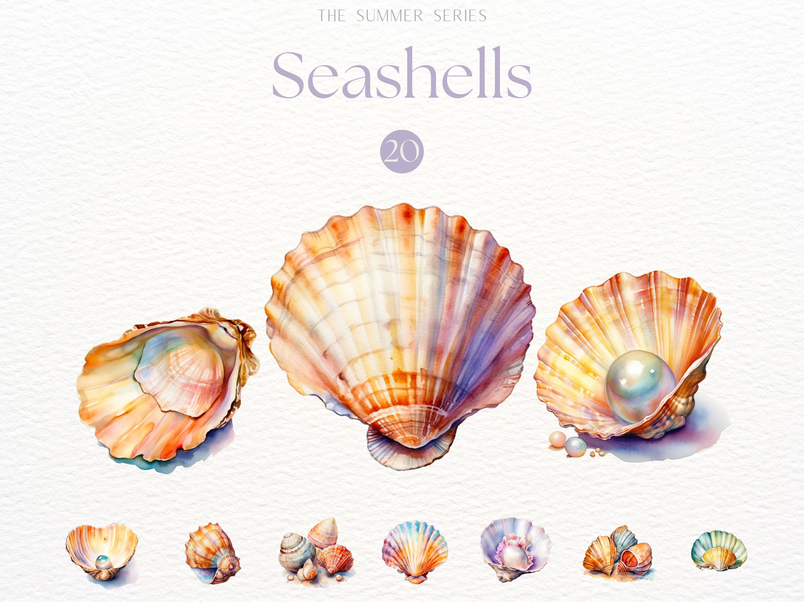 Watercolour Seashells Clipart, Beach Clipart, Seashell PNG, Beach ...
