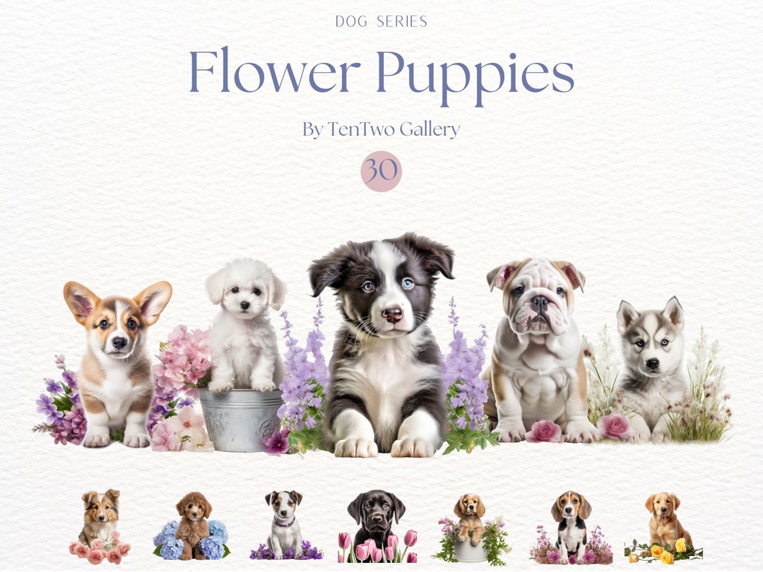 Cute Puppies With Flowers Clipart, Adorable Puppy Dogs Clipart, Dog ...