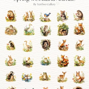 Spring Woodland Animals Clipart | Watercolor Clipart | Spring ...