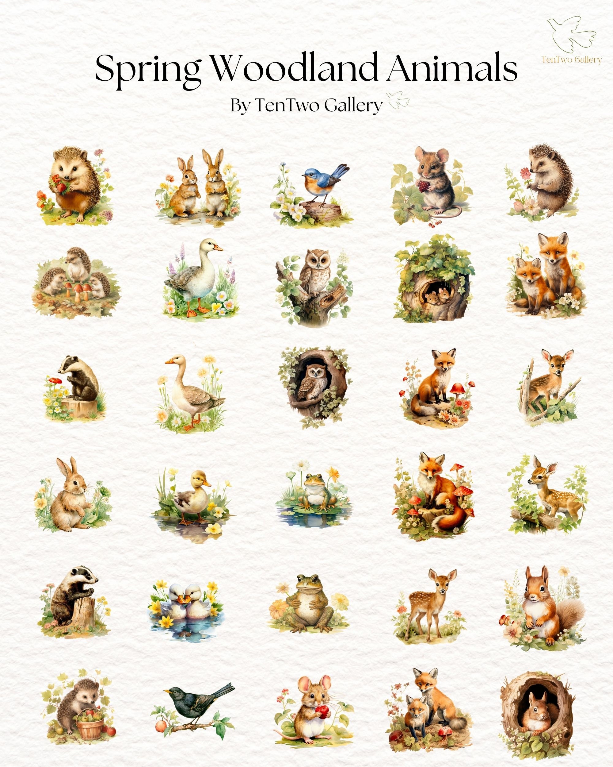 Spring Woodland Animals Clipart | Watercolor Clipart | Spring ...