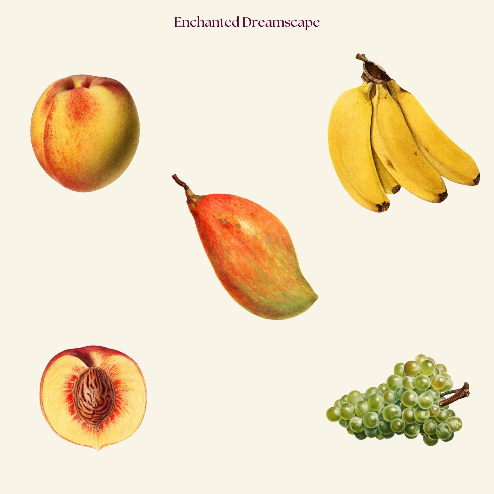 Vintage Fruit Illustrations Clipart Vintage Fruit PNG Full - Etsy