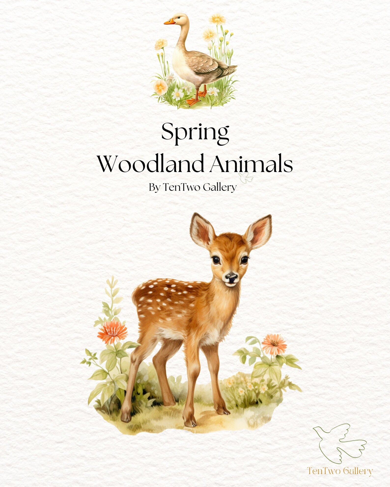 Spring Woodland Animals Clipart Watercolor Clipart Spring Sublimation ...