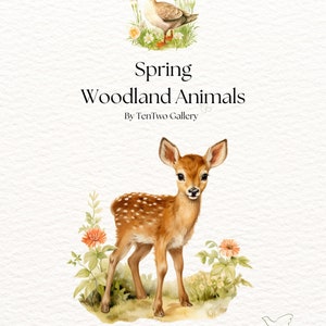Spring Woodland Animals Clipart | Watercolor Clipart | Spring ...