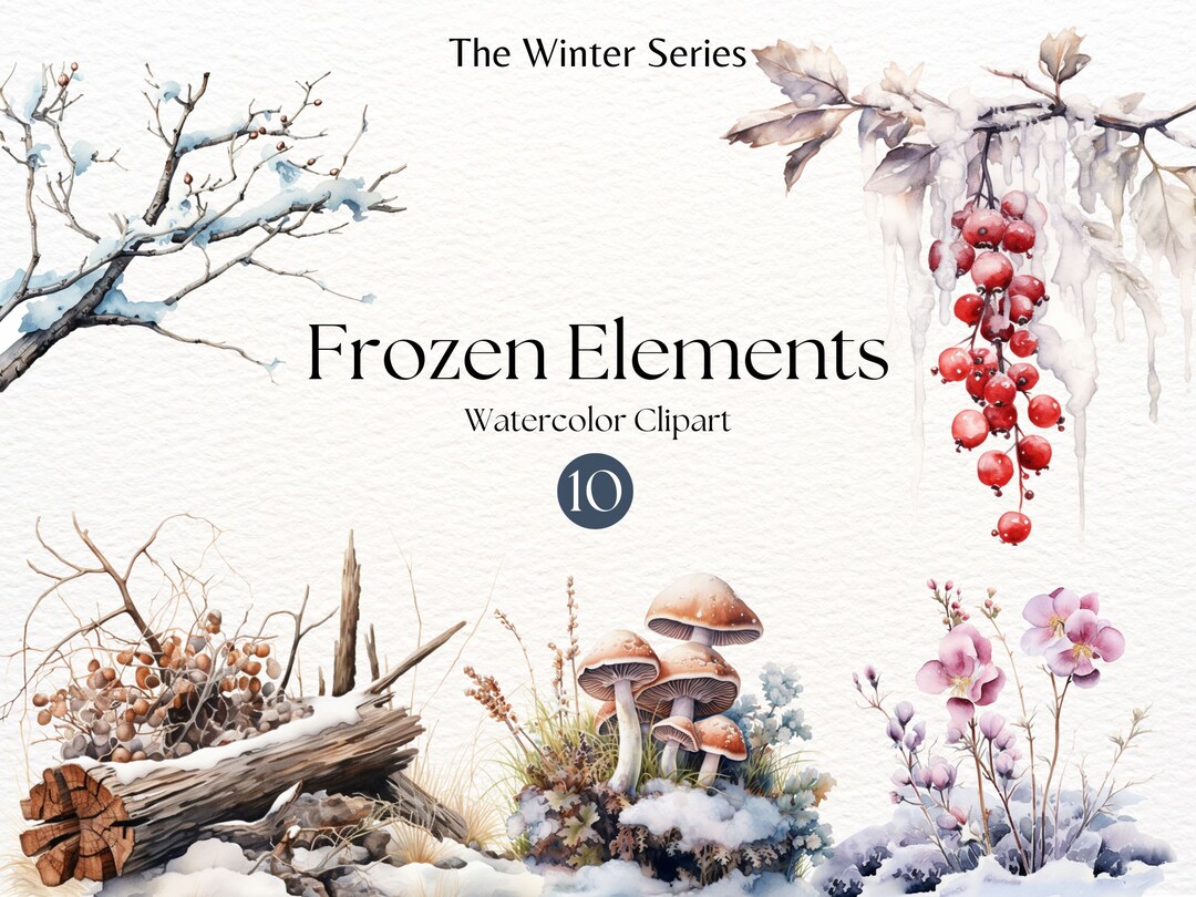 Frozen Winter Elements Clipart | Watercolor Clipart | Winter Decor ...