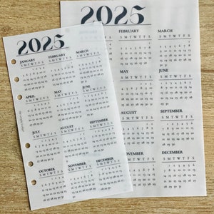 PRINTABLE - 2025 Year at a Glance Dashboards | Cash Binder Dashboard ...