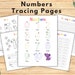 Printable Number Tracing Worksheets, Handwriting Practice PDF, 0-10 ...