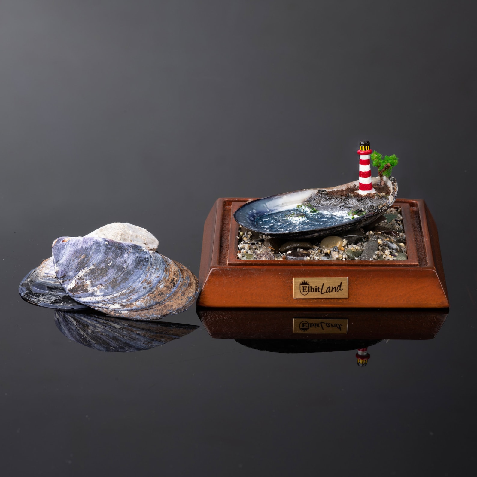 Miniature Lighthouse Diorama: Mussel Shell Sea Life Display, Handmade ...