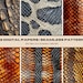12 Snake Skin Digital Paper, Leather Pattern, Snake Skin Textures ...