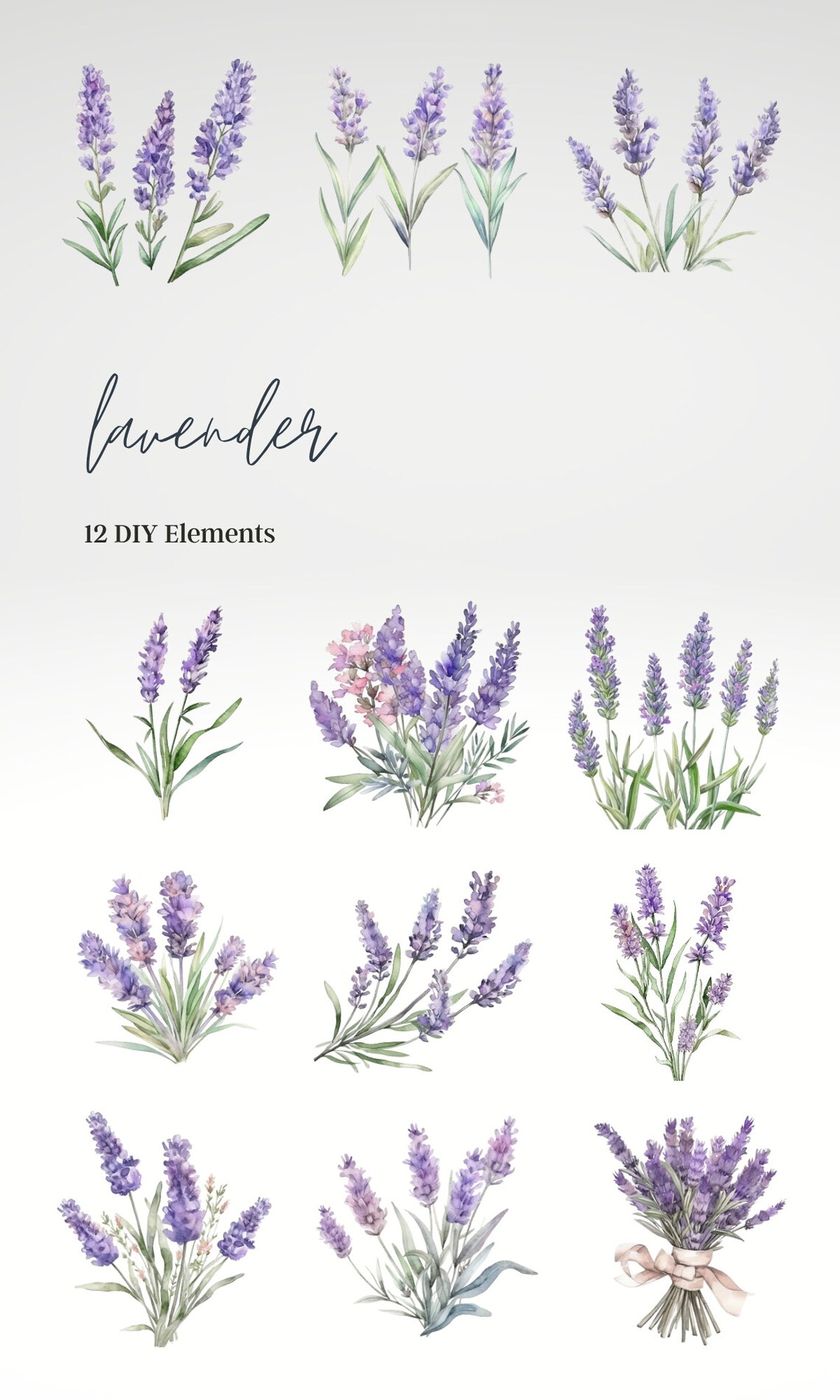 18 Watercolor Lavender Clipart | Floral Clipart | Lavender Clipart ...